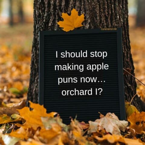 55+ Fall Letter Board Quotes (Cute & Funny Fall Sayings) - DIY With My Guy