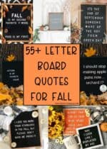 55+ Fall Letter Board Quotes (Cute & Funny Fall Sayings) - DIY With My Guy
