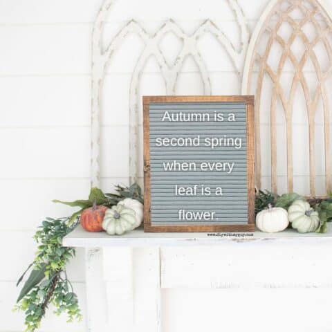 55+ Fall Letter Board Quotes (Cute & Funny Fall Sayings) - DIY With My Guy