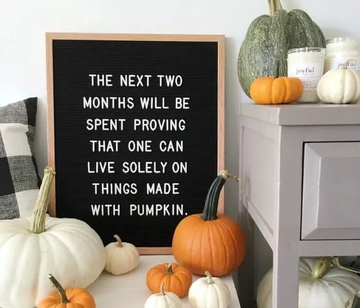 55 Fall Letter Board Quotes Cute Funny Fall Sayings DIY With My Guy 55 Fall Letter Board Quotes Cute Funny Fall Sayings DIY With My Guy