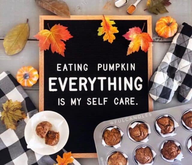 55+ Fall Letter Board Quotes (Cute & Funny Fall Sayings) - DIY With My Guy